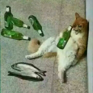 自律的掌门人 