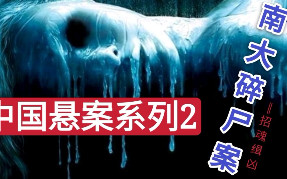 骇人的南大碎尸案:两千片人肉抛洒在大街,头颅和内脏叠放整齐!