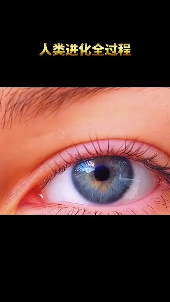 一次性揭晓人类的起源,人类全过程的演化
