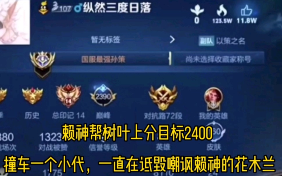 赖神帮树叶上分撞车一个小代,一直诋毁嘲讽赖神的木兰真的菜_电子...