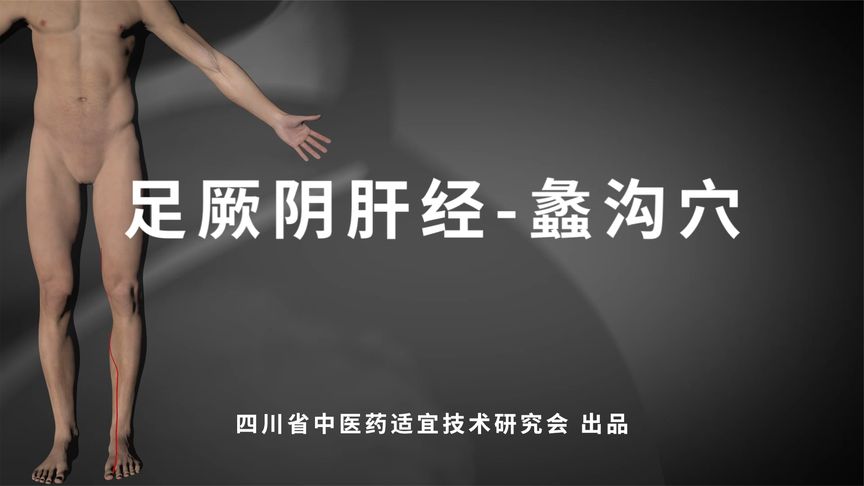 398个穴位,你都知道吗?足厥阴肝经-蠡沟穴