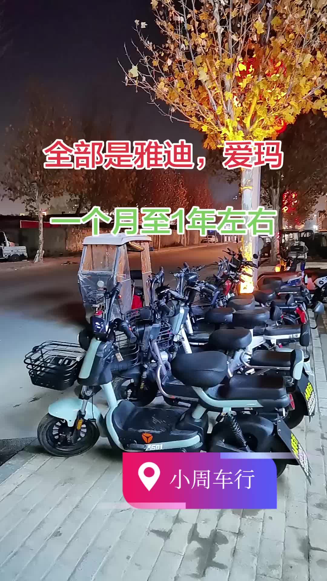 #电动二轮车 #智能电动车品牌推荐 #新国标电动车 #成武二手闲置 #...