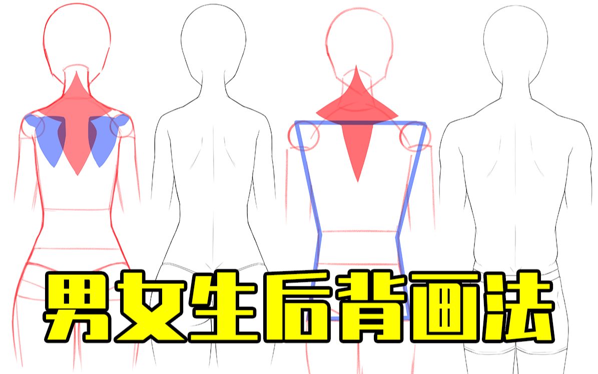 男女生的背部怎么画?教你99%新手都不知道的后背画法!【轻微课 一看...