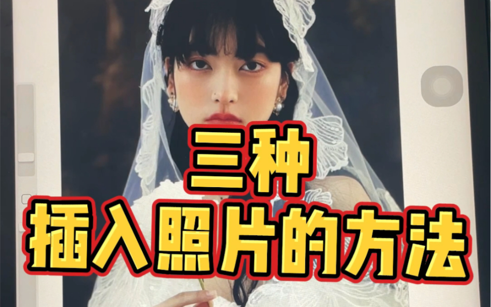 Procreate教程|插入参考照片方法大合集