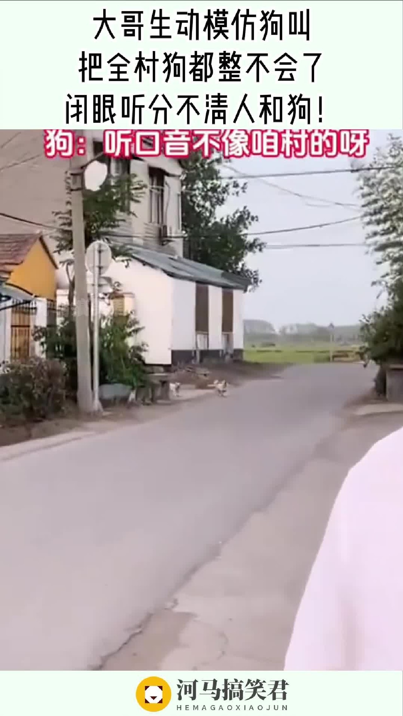 大哥生动模仿狗叫,把全村狗都整不会了,闭眼听分不清人和狗!