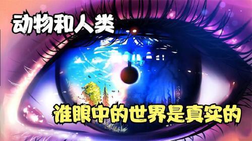 动物和人类,谁眼中的世界是真实的呢