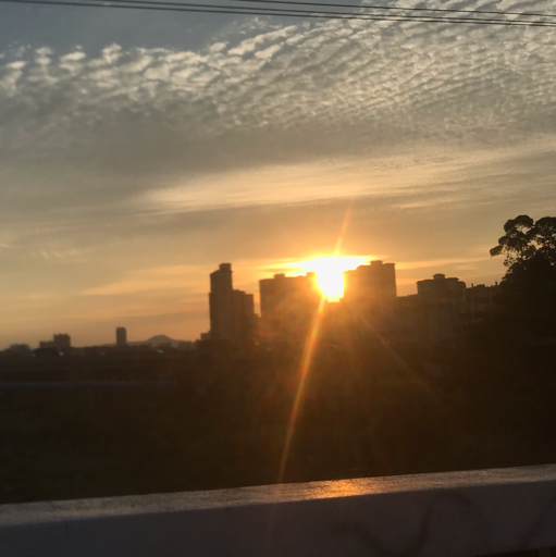 刚刚来玩耍 