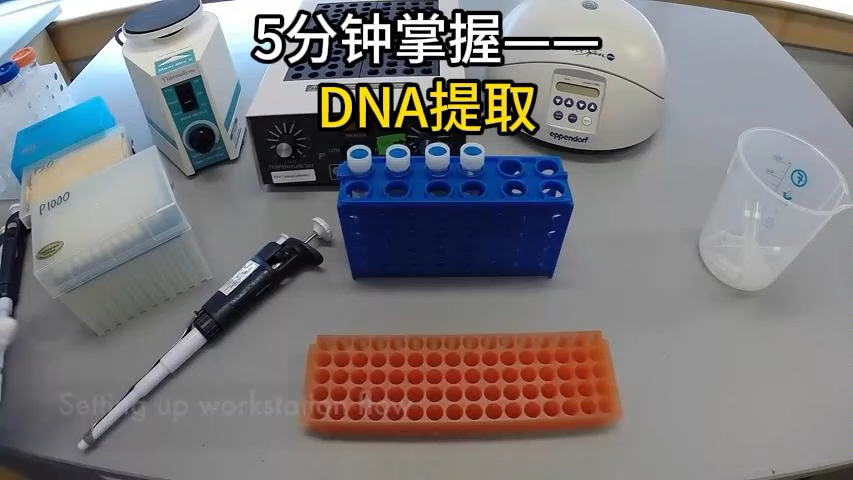 ...DNA 提取实验!在安全环境中,精准操作,获取纯净 DNA。#DNA 提取 #...