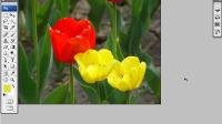 Photoshop CS3 颜色替换命令的使用方法