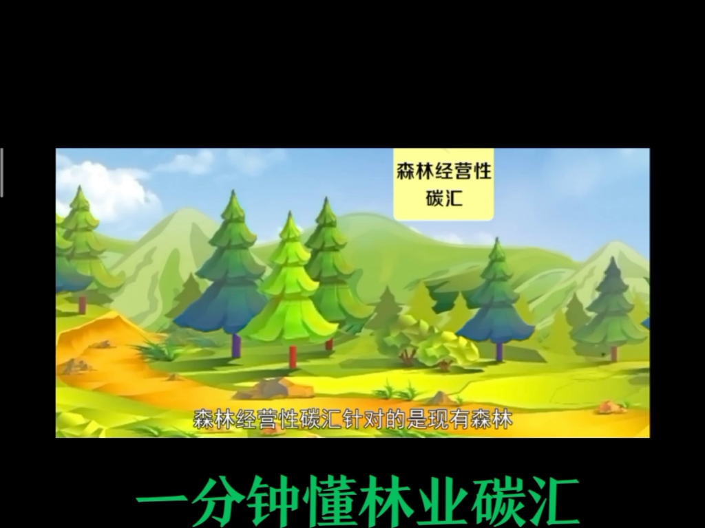 一分钟读懂林业碳汇