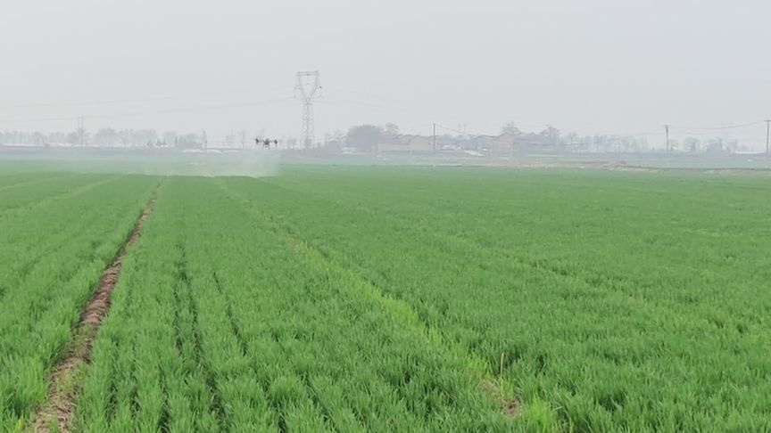 大疆T25P加装四喷头,雾化效果没得说#无人机打药 #无人机植保