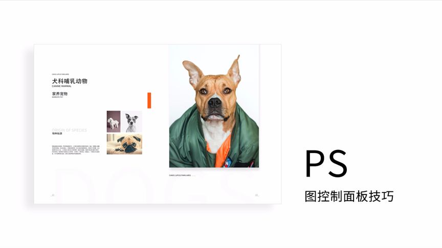 那些你不知道的技巧!PS图层控制面板你原来是这样用的!
