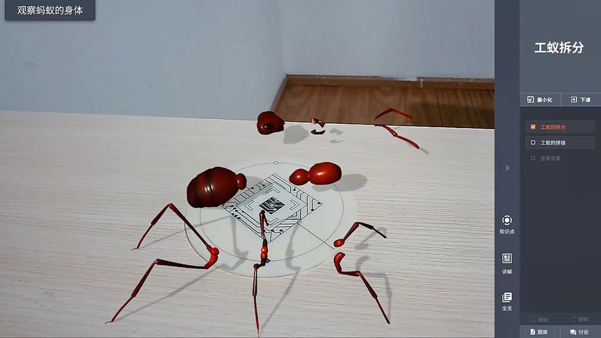 ARSeek科学 | 六年级上 蚂蚁