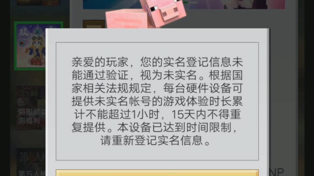 求解实名认证我的世界?