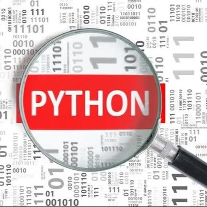 只学了Python 