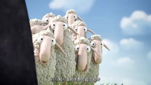羊群为了能一起玩耍,竟开始互相残杀