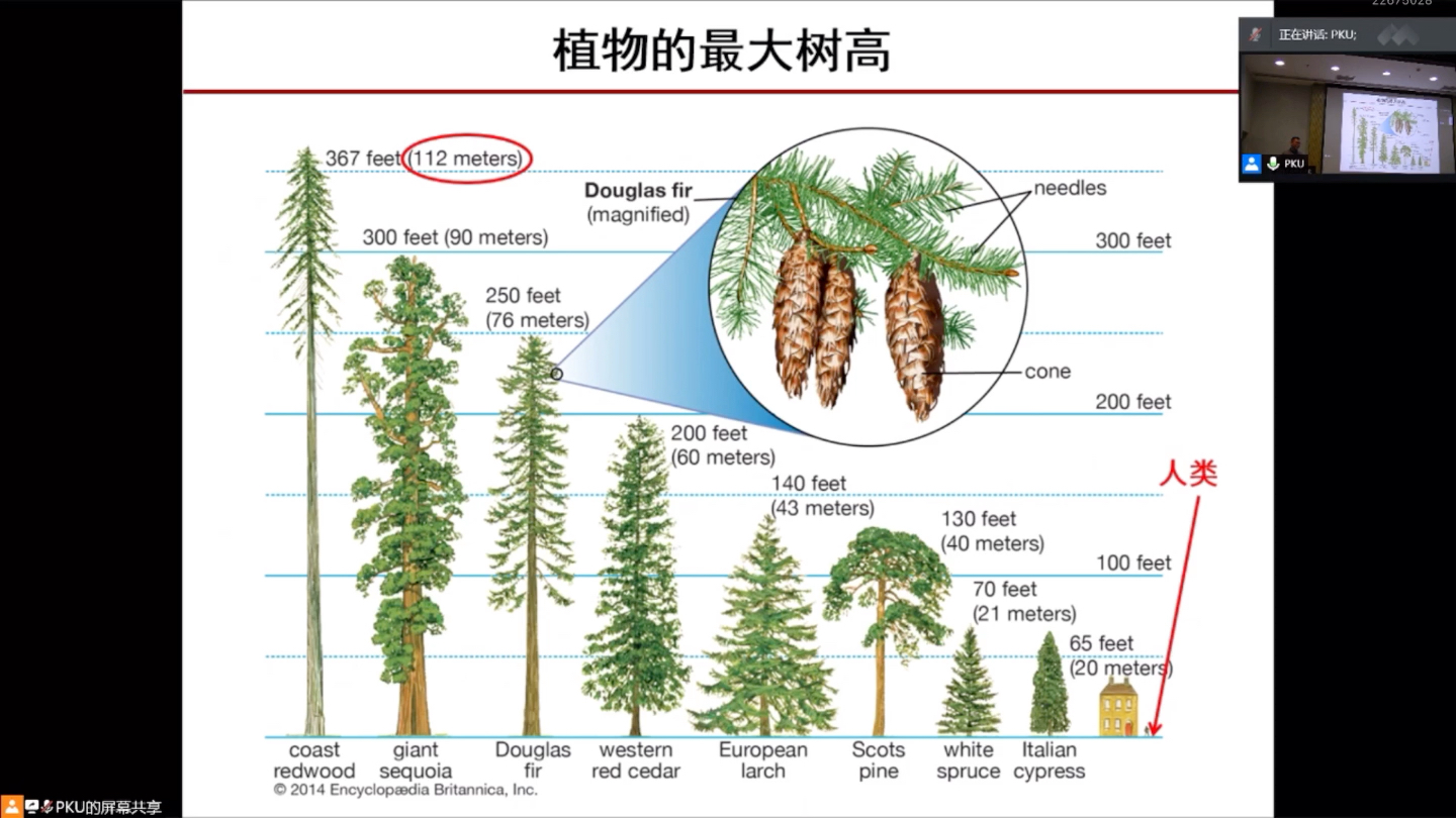 北京大学生态讲坛 【植物功能性状:从个体水平到全球尺度】录屏