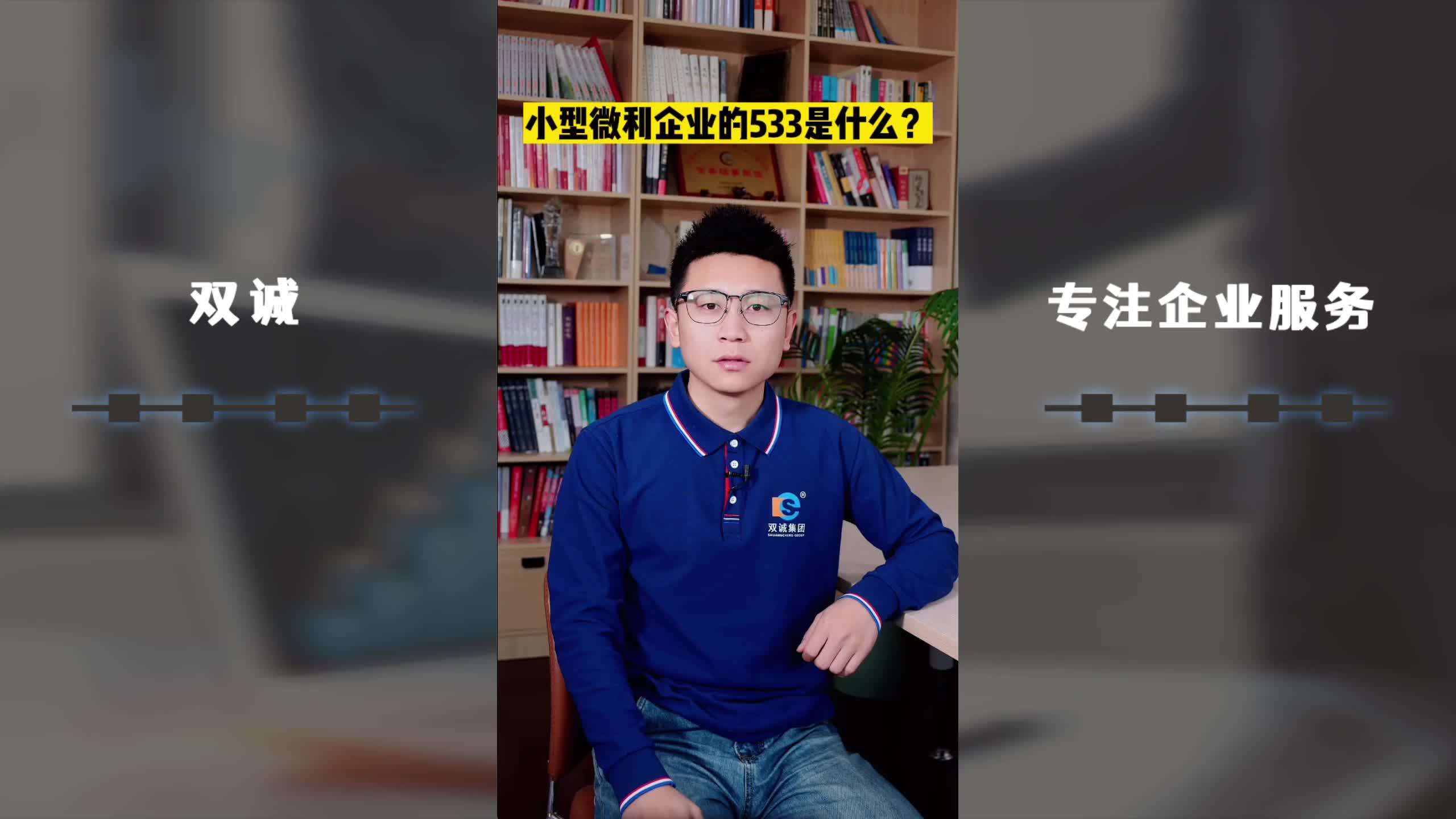 小型微利企业的533是什么?