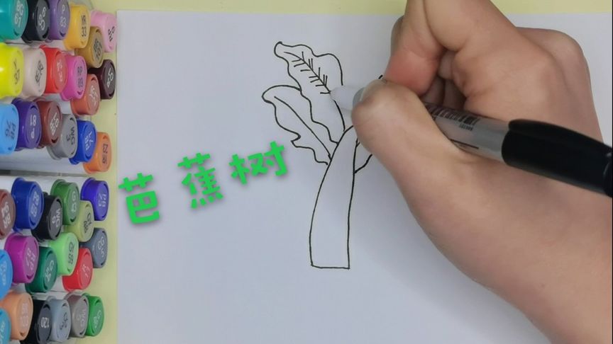 【植物篇】波浪线还可以画什么呢?简单易学的芭蕉树简笔画