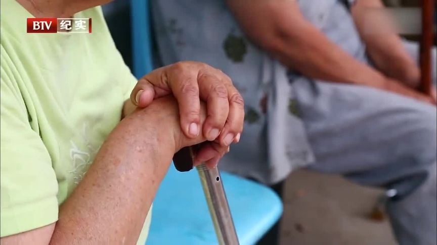 普乐园养老院占地30亩,设施齐全还有荷塘,收养将近200个老人