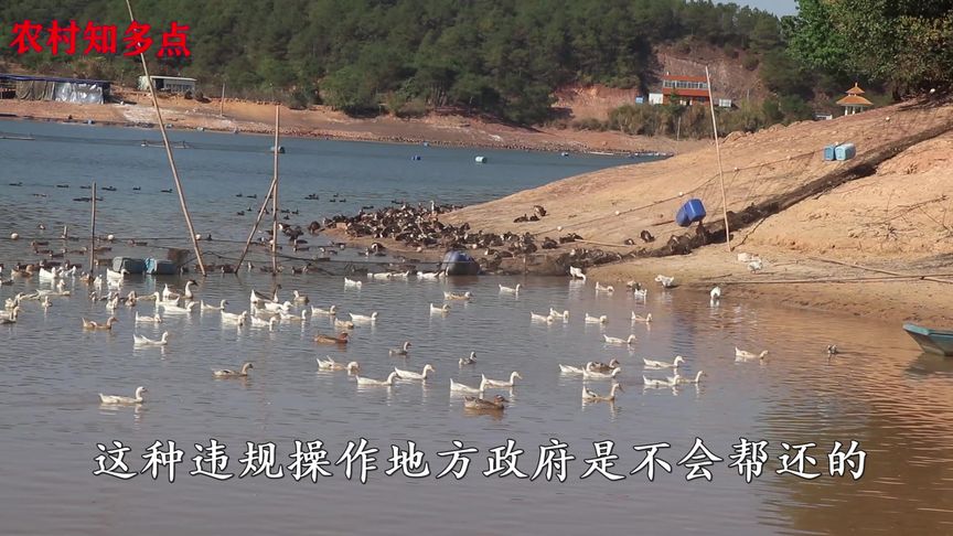 贫困户贷5万块免息贷款,如果到期还不上怎么办?是不是不用还了