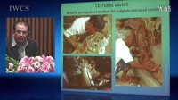 2011中国-东盟国际木文化论坛——菲律宾林业和木材工业现状