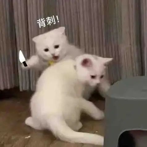 83ku 