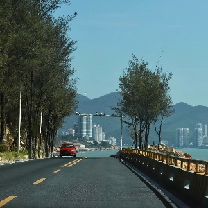 邂逅上岸的你 