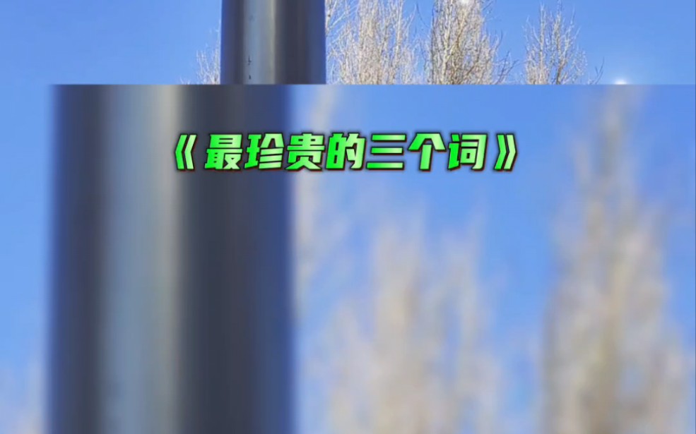 旗杆厂家不锈钢旗杆,电动旗杆