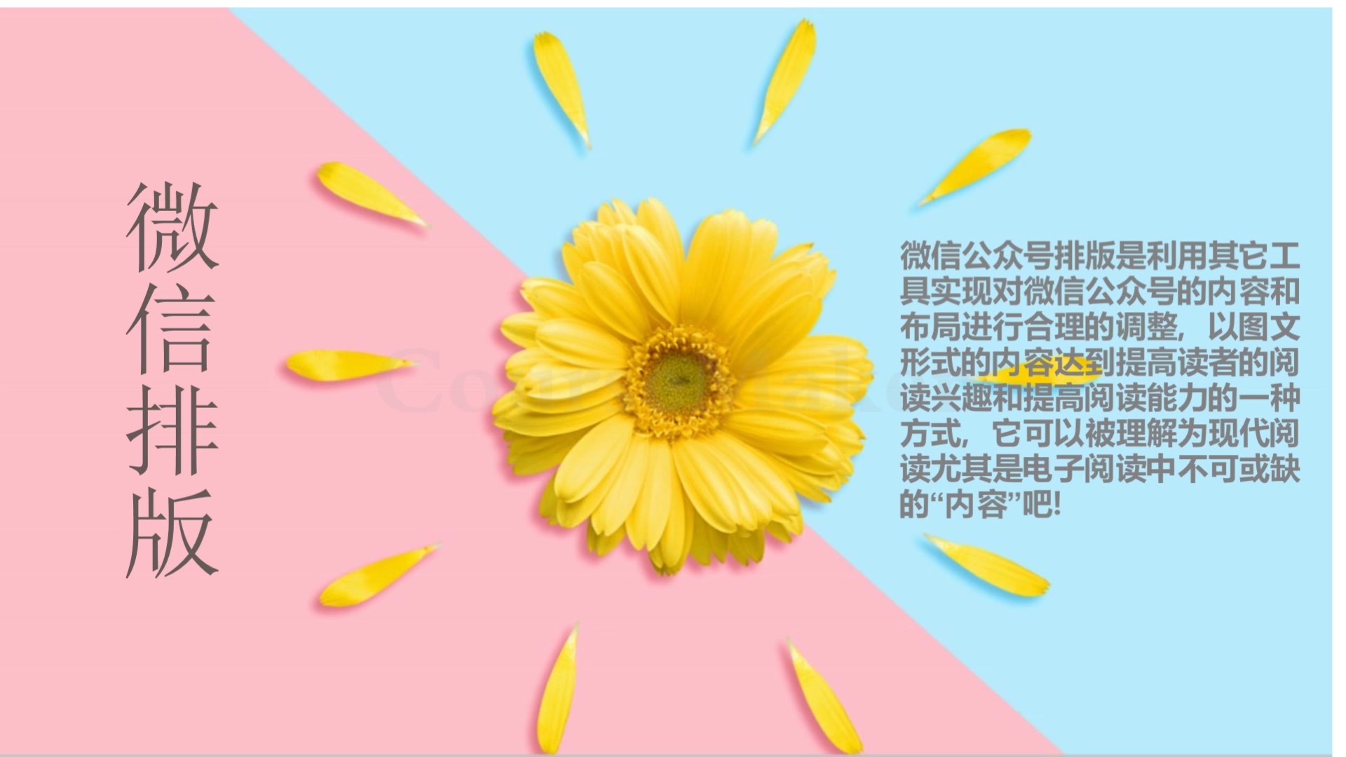 微信公众号排版(纯干货)小白(从零到一)排版教程,微信公众号的后台,...
