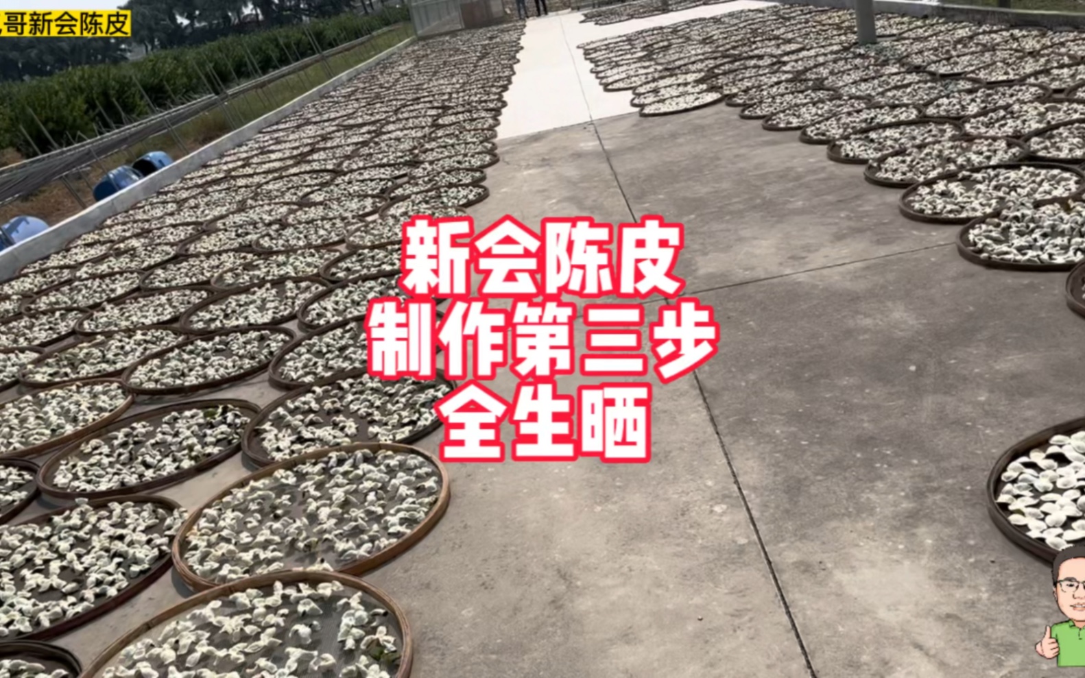 新会陈皮制作第三步全生晒,经过全生晒的陈皮,拥有陈皮独特灵魂