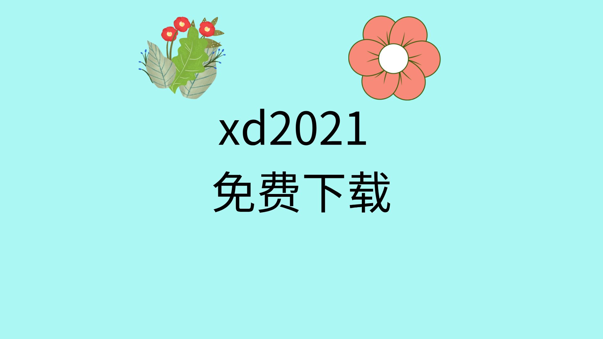 xd2021安装包xd软件下载教程XD安装包免费使用版