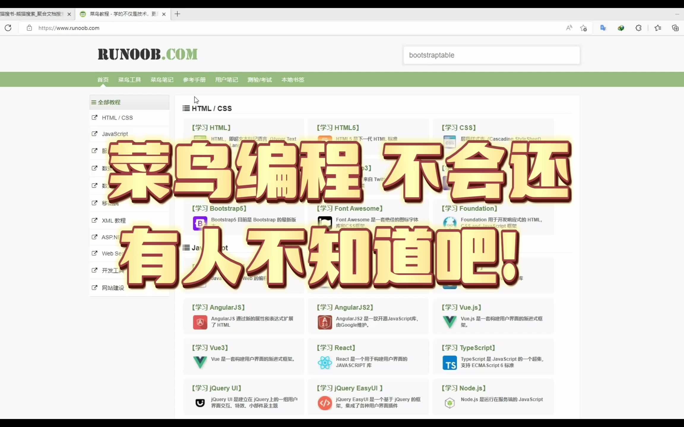 宝藏网站分享11-菜鸟教程,不会还有人不知道吧