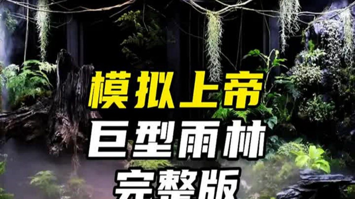 上帝模拟器 用超大型水箱打造一个巨型雨林生态系统