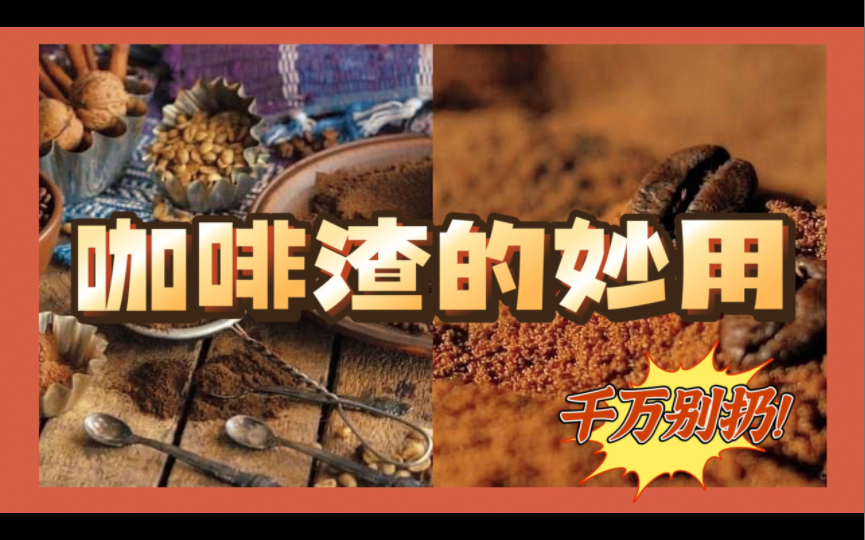 用过的咖啡渣千万别扔,这样变废为宝!N种妙用!【亲测有效】
