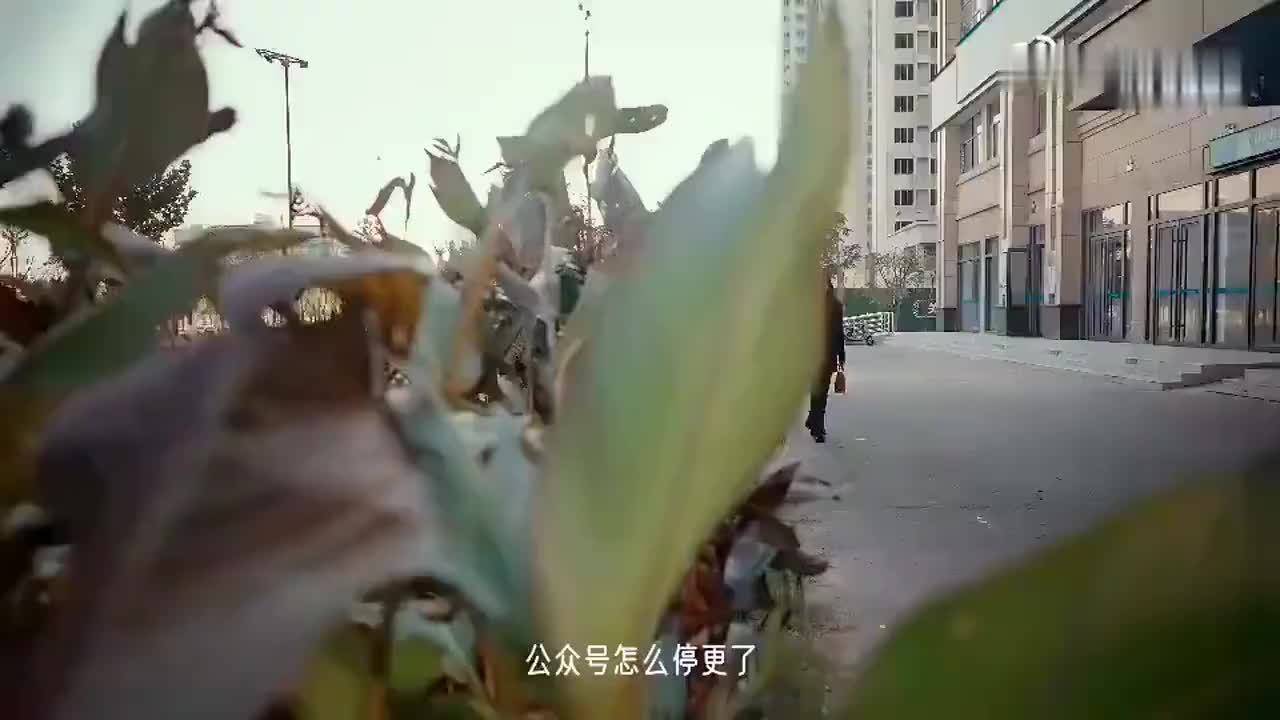 网警破获通过 "AI换脸"技术非法侵入计算机信息系统案