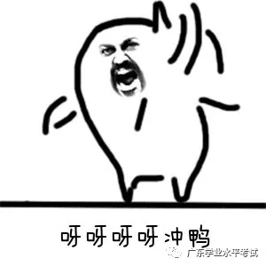 催催催催什么鬼 
