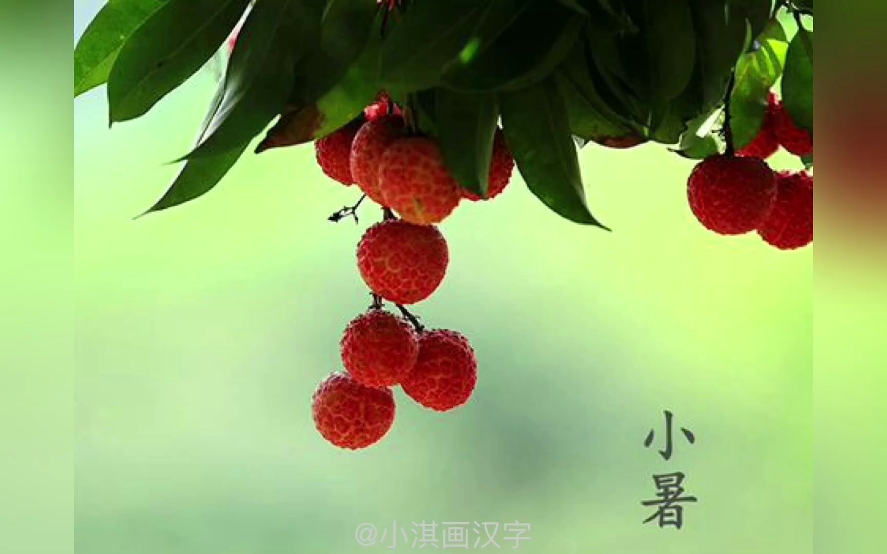 「小暑」是什么样的节气?有什么应景古诗?