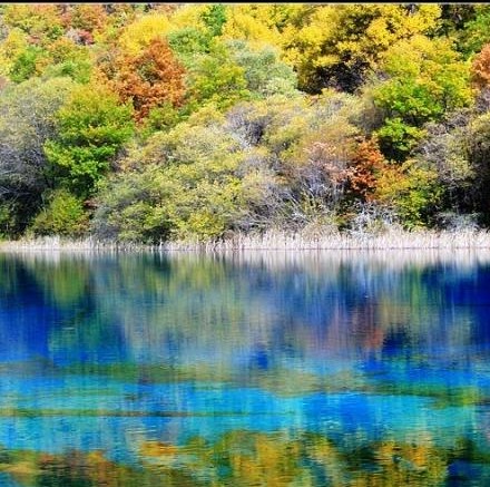 斌纷的旅游攻略 