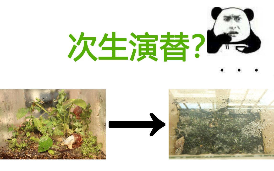 学了高中生物必修三后制作的生态缸,五个月后怎么样了?