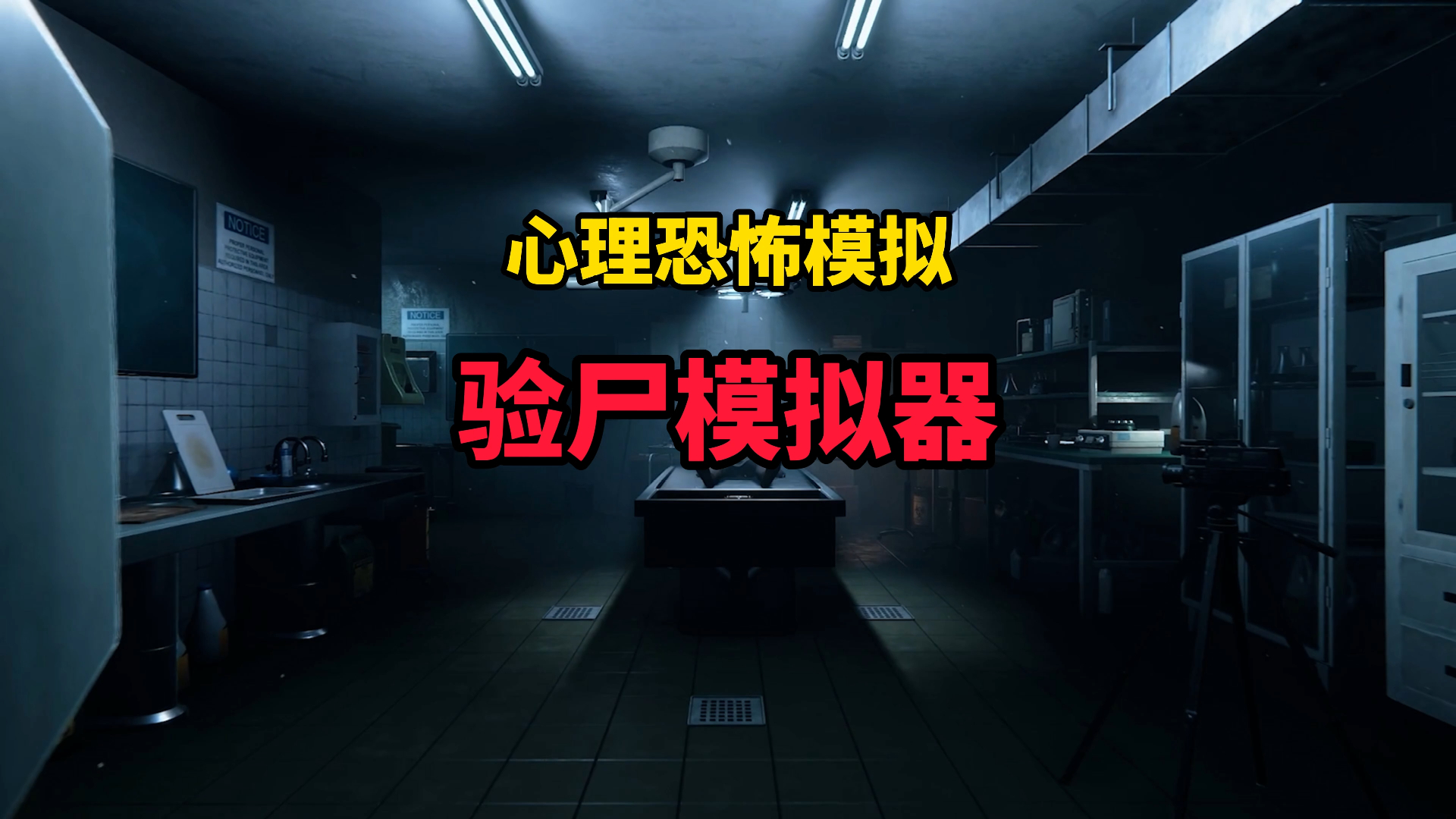 胆小慎入!解剖尸体,揭秘死亡之谜!全新心理恐怖模拟游戏 《验尸模拟器...