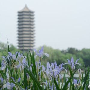 鹏哥金融学考研 