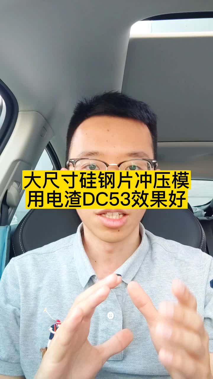 大尺寸硅钢片250冲压模用什么模具钢?试试电渣锻打DC53模具钢