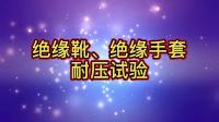 02继电保护专业绝缘工器具耐压试验标准化视频