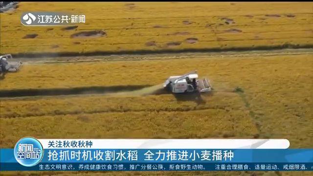 关注秋收秋种:江苏各地抢抓时机收割水稻,全力推进小麦播种
