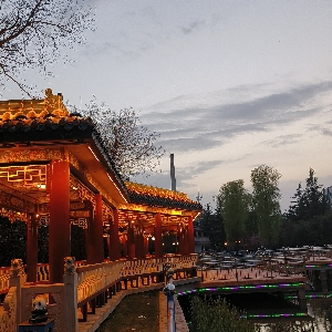 小主安陵西 