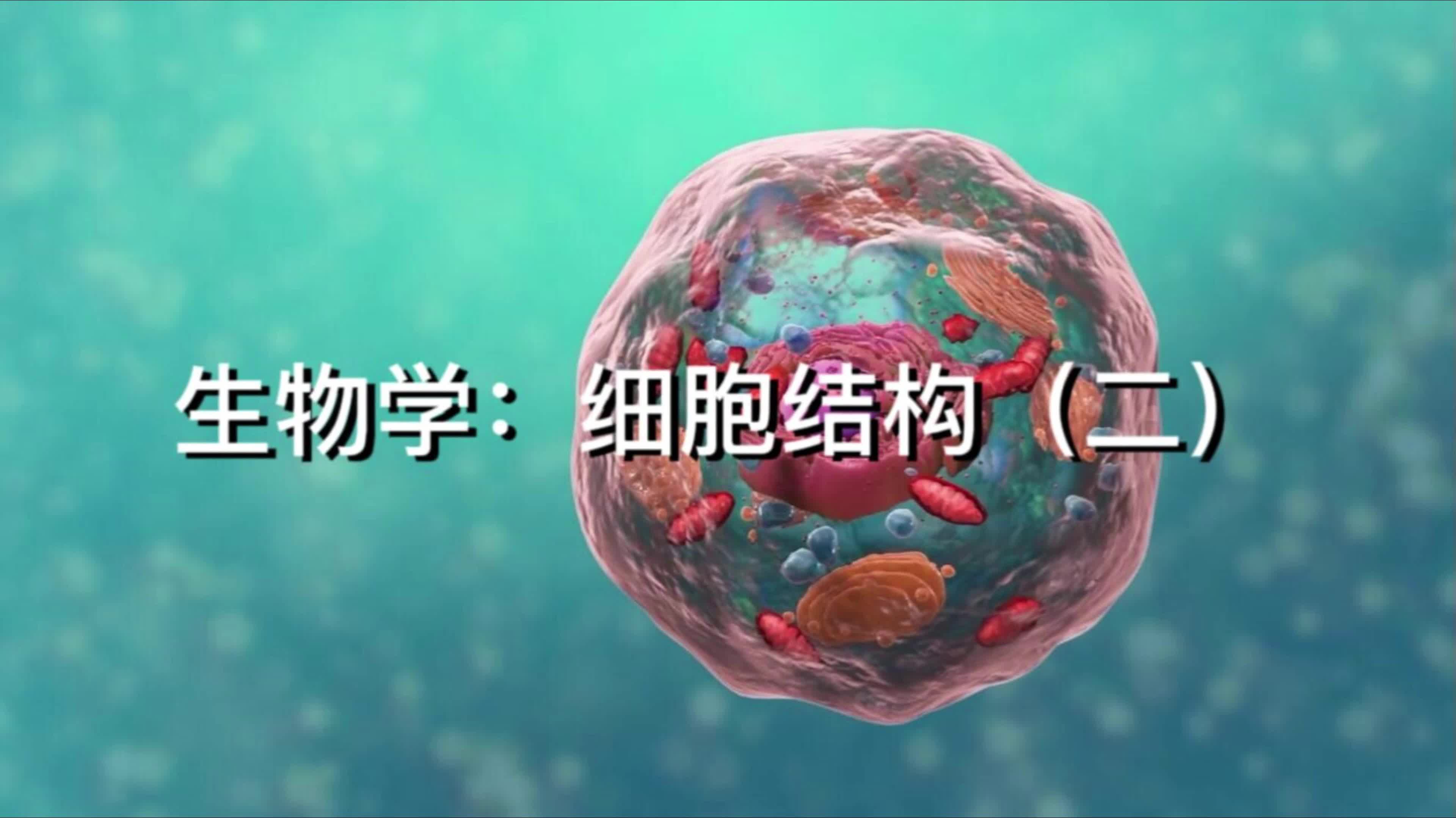 生物学:细胞结构(二)