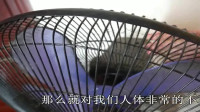 电风扇最正确的清洗方法,洗完跟新的一样,天气热了正需要