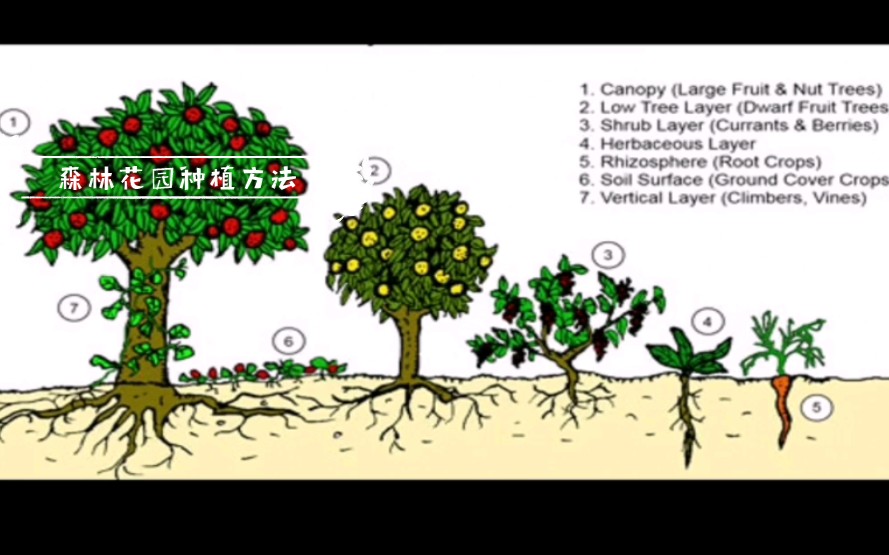 Lecture on how to plant a forest garden (Part 1)