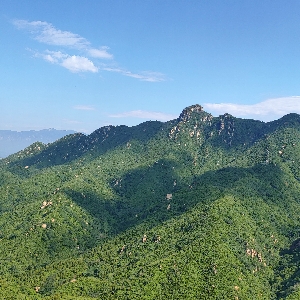 小小虫儿飞飞666 